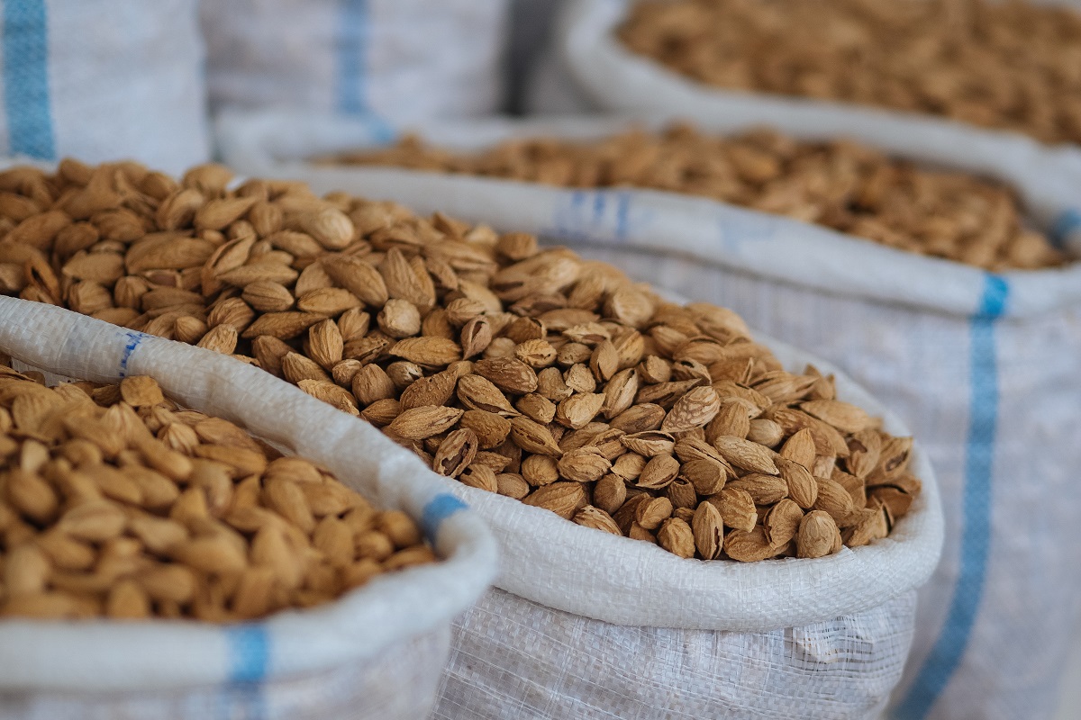 Silo Bolsa: como escolher para armanar grãos